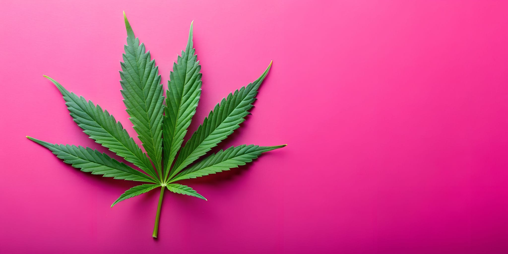 Patienten Ausweis Cannabis Schweiz 2025 – So bekommt man ihn